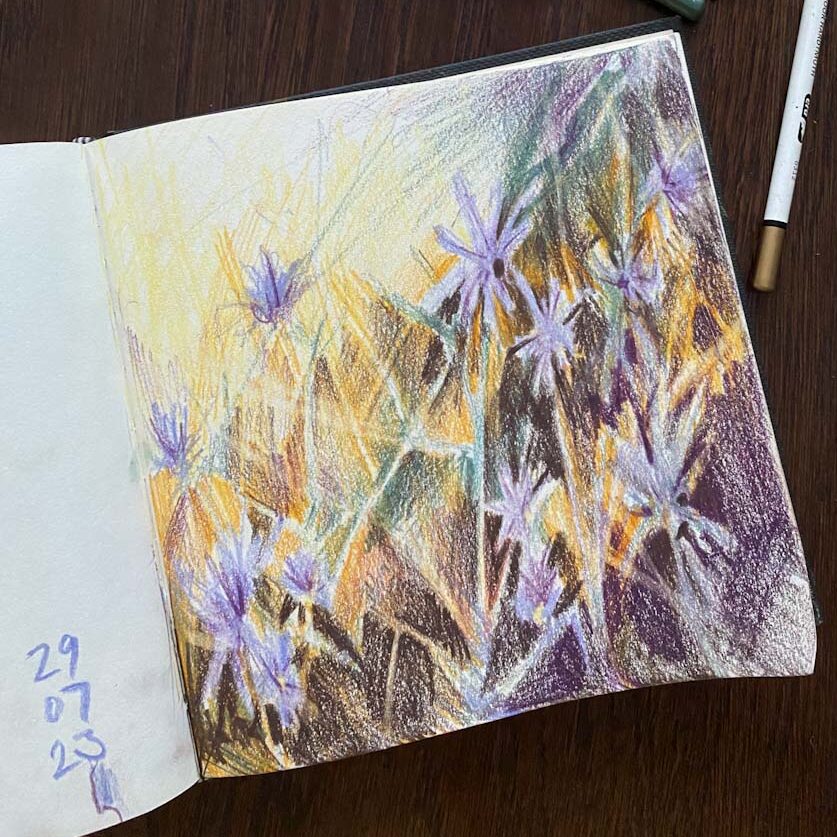 Flipping Through Sketchbook 2023 Artboginskaia
