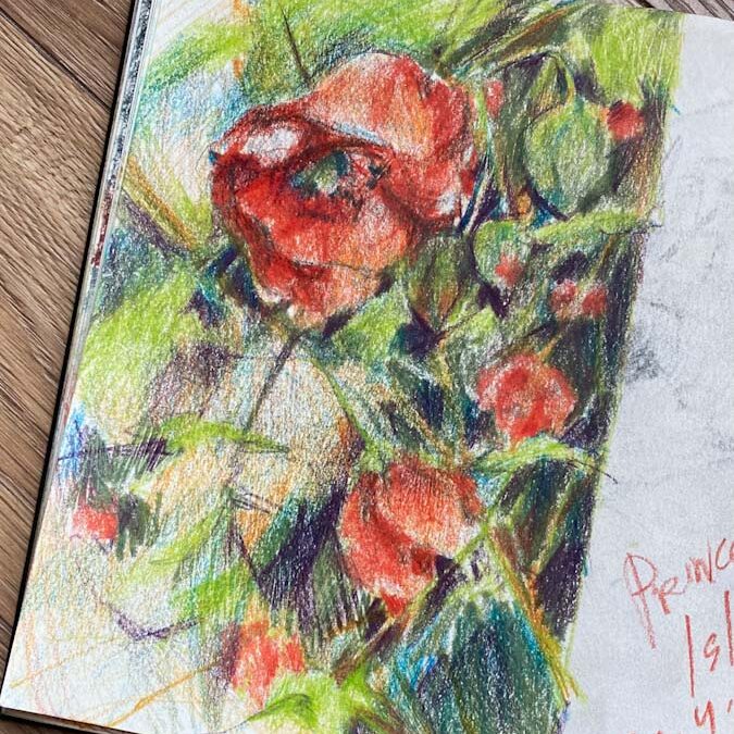 Flipping Through Sketchbook 2023 Artboginskaia